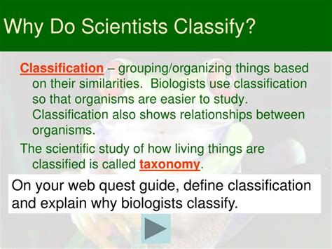 Ppt Classifying Organisms Powerpoint Presentation Id2469295