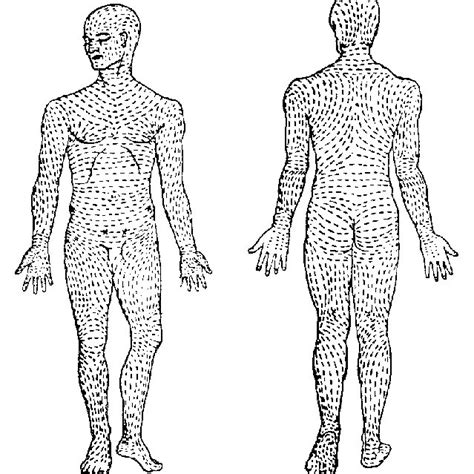 The Transducer Calibration Software GUI Download Scientific Diagram