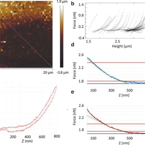Representative Intercellular Topography And Force Curves A A