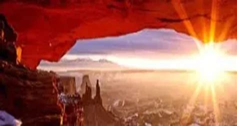 The Sai Times Unity In Divinity Jan 23 Premaarpan