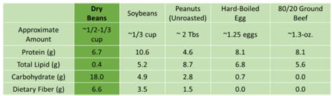 Bean Nutrition A Legume A Day