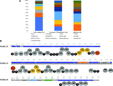 Gill Genome Bins Contigs For Biosynthetic Gene Clusters Bgcs A Download Scientific Diagram