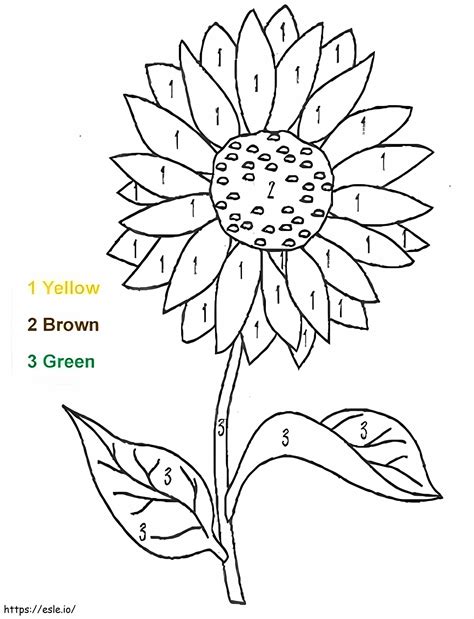 Printable Flower Color By Number Coloring Page