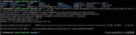 Paddleocr使用笔记 基于python预测引擎推理 Csdn博客
