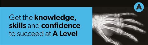 A Level Physics For OCR A Babe Book OCR A Level Sciences Amazon Co Uk Bone Graham A Level Physics For OCR A Babe Book OCR A Level Sciences Amazon Co Uk Bone Graham