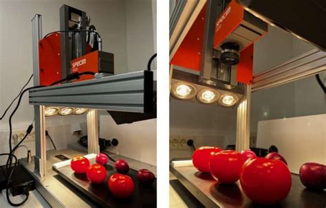 Assessing The Ripeness And Aging Of Fruits And Vegetables With Hyperspectral Imaging Specim