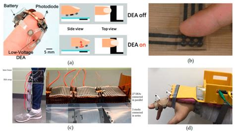 A Review Of The Applications And Challenges Of Dielectric Elastomer Actuators In Soft Robotics