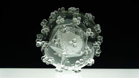 Glass Microbiology Luke Jerram