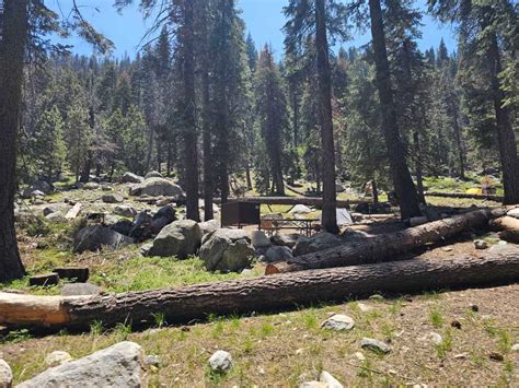 Lodgepole Campground Sequoia National Park Park Ranger John