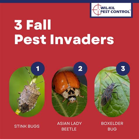 Terminix Wil Kil On Linkedin While Peak Pest Season May Be Behind Us