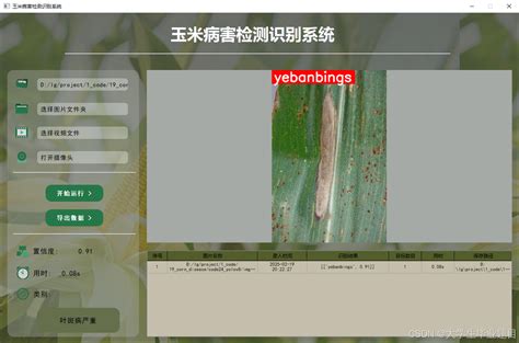 毕业项目推荐：基于yolov8 yolo11的玉米病害检测识别系统（python 卷积神经网络） python 大学生毕业题目 讯飞ai开发者社区