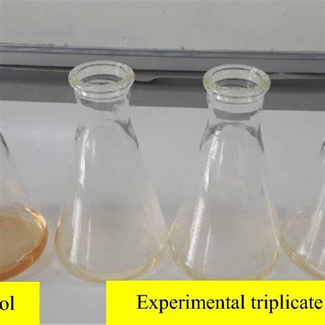 Visual Appearance Observed In Pp17 06 During The Pulp And Paper Mill Download Scientific