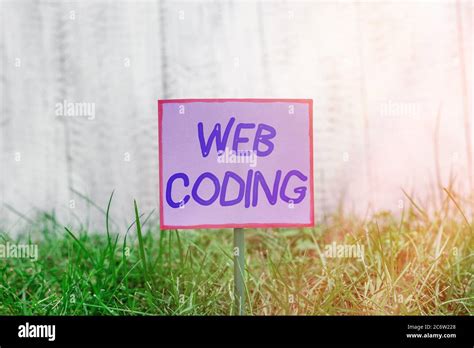 text sign showing web coding business photo text a system of symbols and rules used to