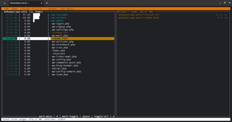 how to find most used disk space directories and files in linux