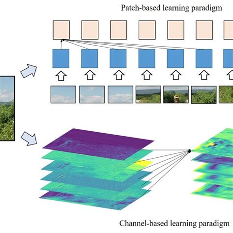 Comparison Of Feature Learning Methodology Between Cnns And Vit