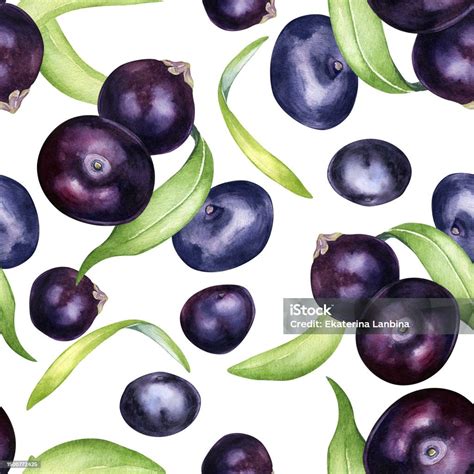 아사이 열매와 야자수는 흰색으로 분리된 수채화 이음매 없는 패턴을 남깁니다 이국적인 아마존 작은 보라색 열매 열대 과일 손으로 그렸습니다 포장 섬유 포장 배경 종이를 위한