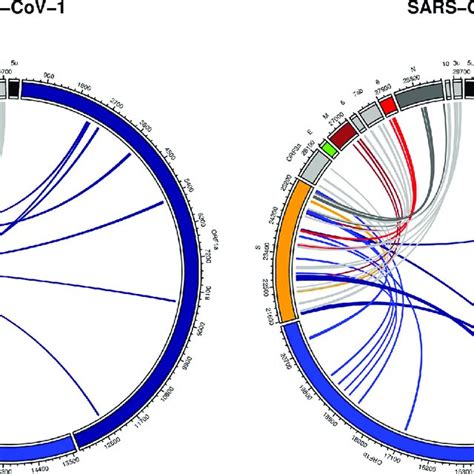 Predicted Long Range Rna Rna Base Pairing Interactions Between Spike Download Scientific