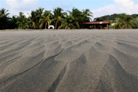 Beach Sand Dunes Close Up