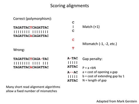 ppt introduction to short read sequencing analysis powerpoint