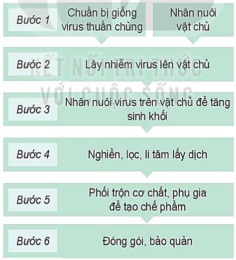 Xác định các bước sản xuất chế phẩm virus trừ sâu gồm mấy bước