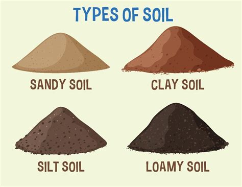 What Is Loamy Soil Its Characteristics Benefits And Types