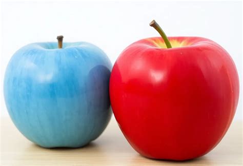 Difference Between Real Dom And Virtual Dom What You Need To Know