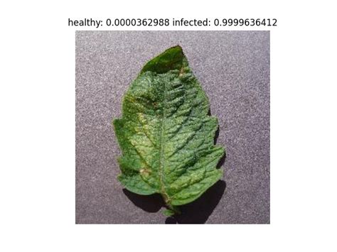 Github Jan94zplant Disease Classification Resnet18