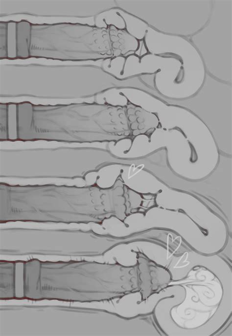 Rule 34 2023 Accessory Biped Bodily Fluids Cervical Contact Cervical Penetration Cock Ring Cum