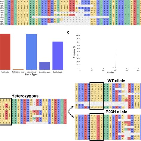 Crispr Grant Provides Intuitive Gui For Crispr Indel Analysis On