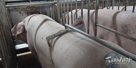 한 장의 사진 손잡이가 달렸다