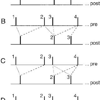 A D Temporal Integration Of STDP Schematics Illustrate Different Ways Download Scientific