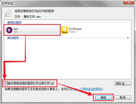 全平台最强播放器mpv！祖母级入门帮扶教学 知乎