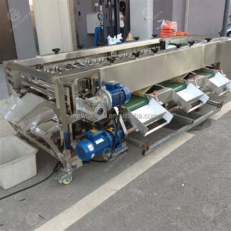 potato sorting grading machine roller grading machine apple sorter