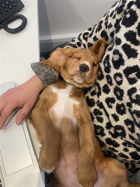 Workaversary Stormofficesolutions Thankyou Storm Office Solutions