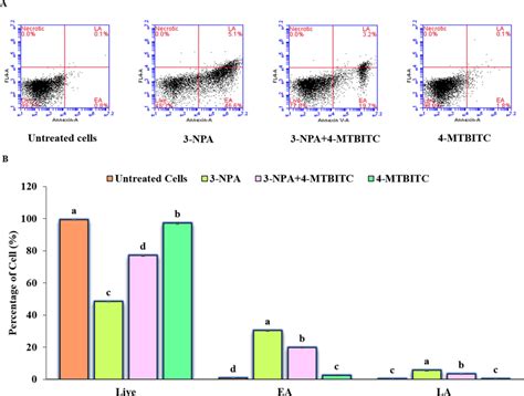 A Flow Cytometric Representation Of Apoptosis By Dot Plots Of Double A Flow Cytometric Representation Of Apoptosis By Dot Plots Of Double