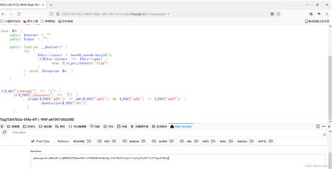 【网络安全ctf】buuctfbasic篇 Csdn博客 【网络安全ctf】buuctfbasic篇 Csdn博客