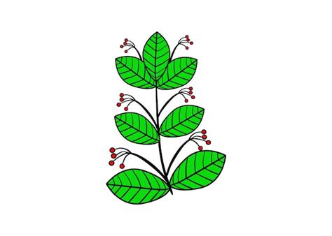 Premium Vector Green Leaves Vector