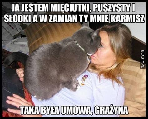 Memy Kotami🐈 R Polska