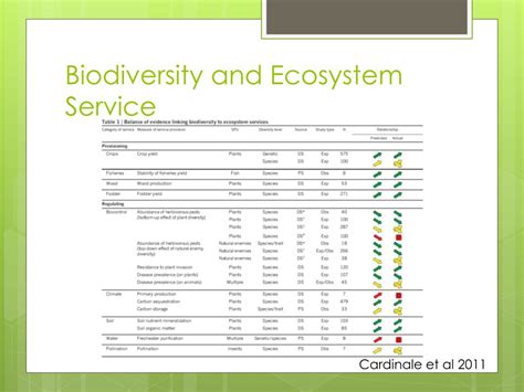 Ppt Biodiversity And Ecosystem Function Powerpoint Presentation Free Download Id 2857331