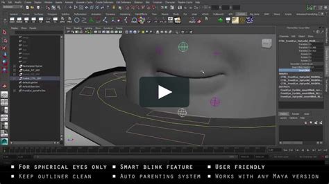 Mayapython Auto Eyelids Rig Rigs Maya Maya Modeling