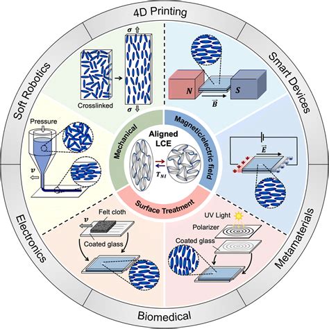 Recent Advances In Molecular Programming Of Liquid Crystal Elastomers With Additive