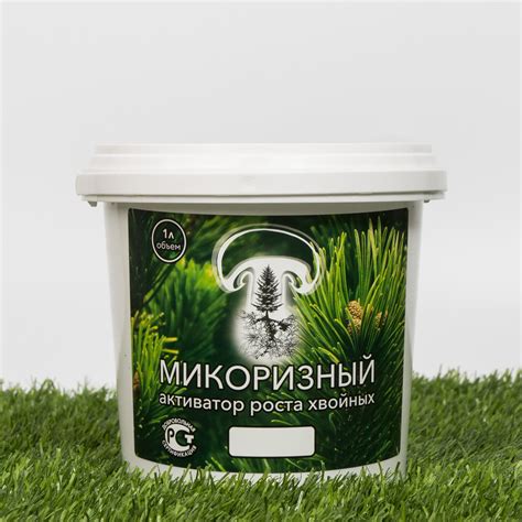 МИКОРИЗНЫЙ АКТИВАТОР РОСТА для елей, 1 л | Микориза