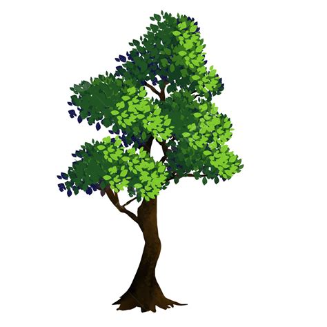 Dense Tree Cartoon Illustration Tree Clipart Cartoon Clipart Tree Cartoon Illustration Png