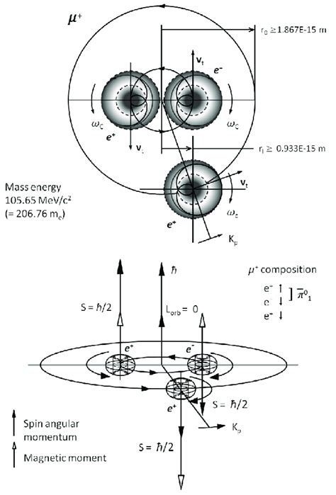 Positive Muon M Consisting Of A Positron Electron And Positron
