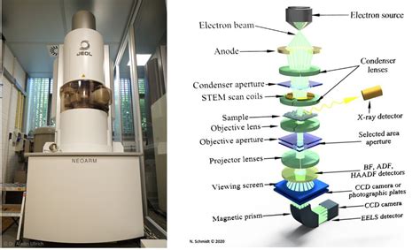 Components And Structure Of Transmission Electron Microscope Tem My