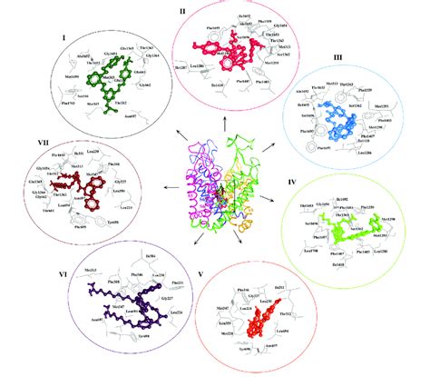 binding analysis of compounds c1 7 and ca v 2 2 c1 7 are shown in dark