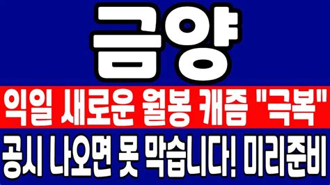 금양 주가전망 익일 새로운 월봉 드디어 캐즘 극복하나 공시 전 미리 준비하세요 김프로금양2차전지4695에스엠랩류광지매수매도수주공시4695배터리