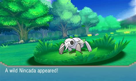 Optimal Held Item Farming Team Pokémon Oras Wiki