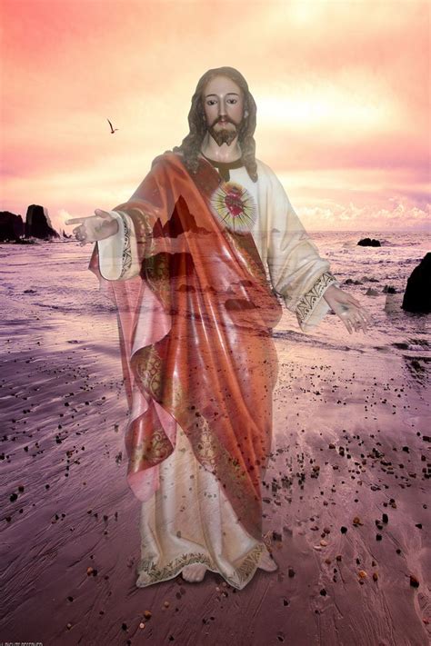 Sagrado Coraz N De Jes S Women Women S Top Fashion