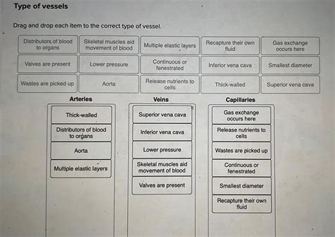 Answered Type Of Vessels Drag And Drop Each Item To The Correct Type